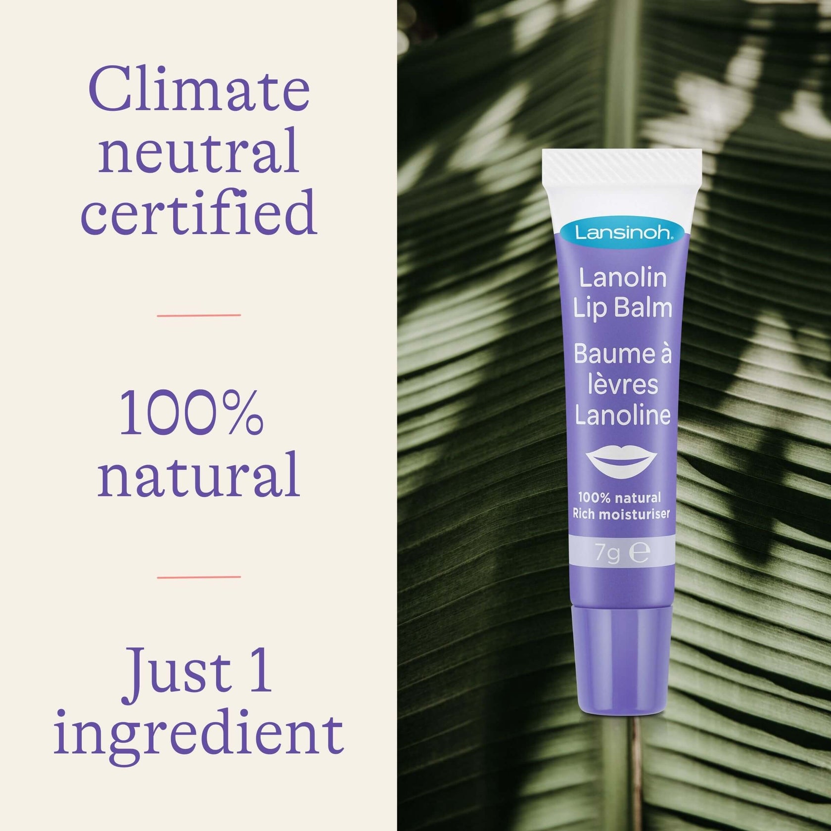 Lansinoh Lanolin Lip Balm – Lansinoh UK